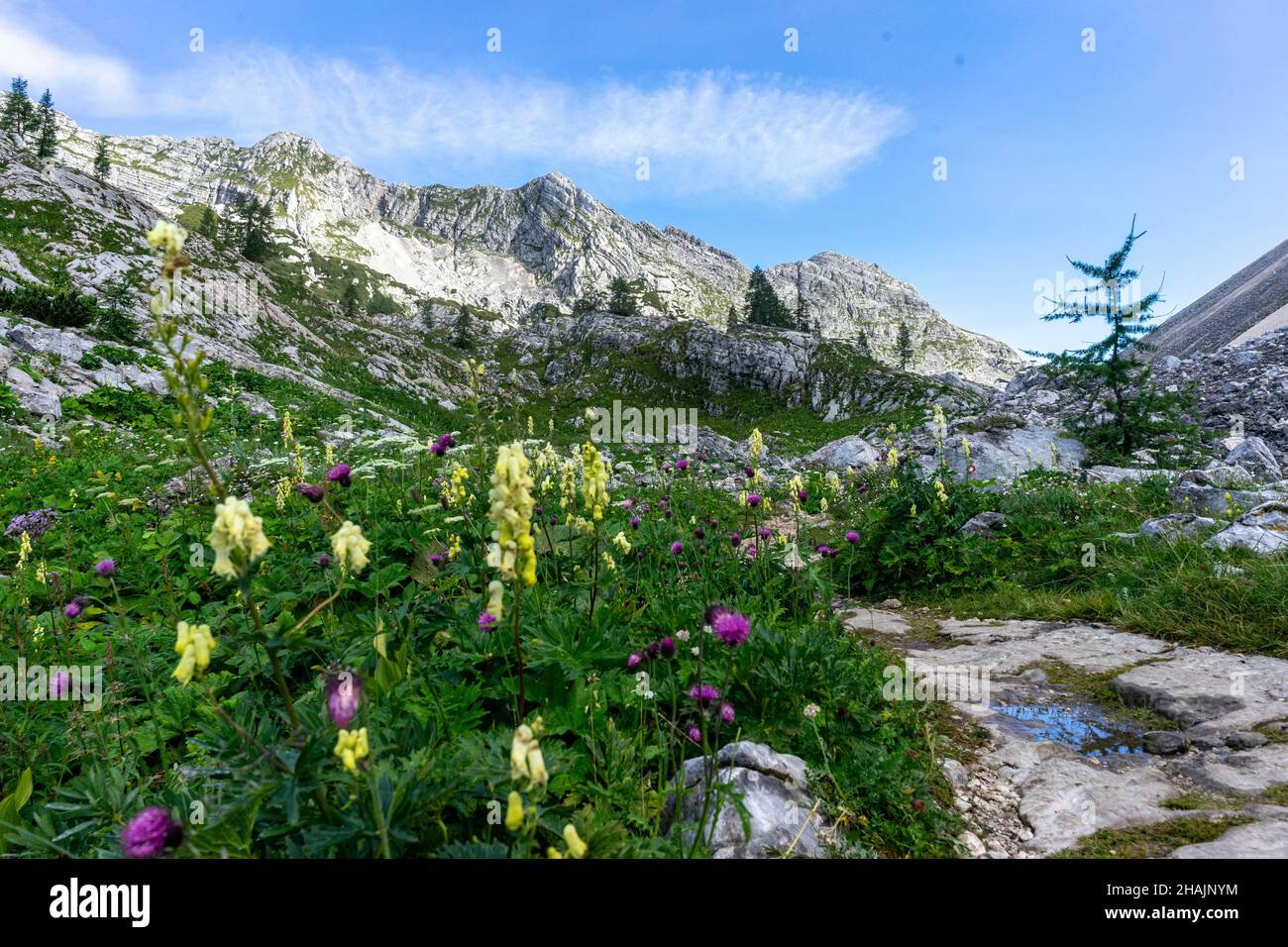 Beautiful Triglav Lake Valley in Triglav National Park in Slovenian ...