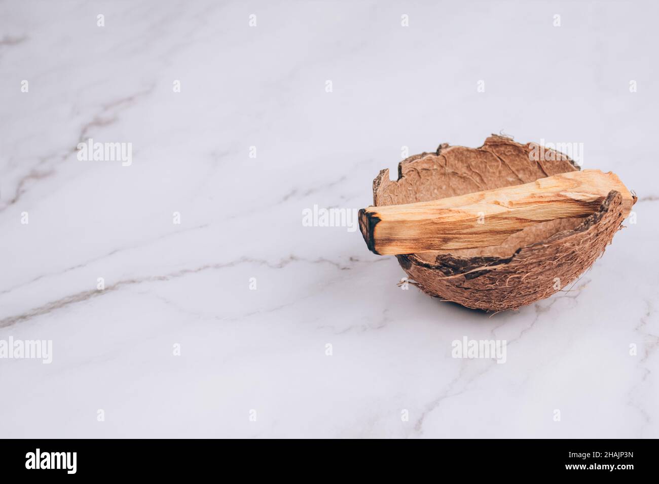 Burning Palo Santo tree sticks inside coconut shell on light marble ...