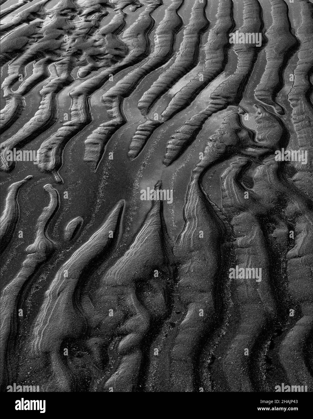 Vertical grayscale shot of sand Stock Photo - Alamy