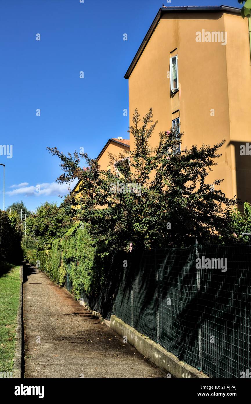 Passageway bordered by a hedge and a fence next to residential ...