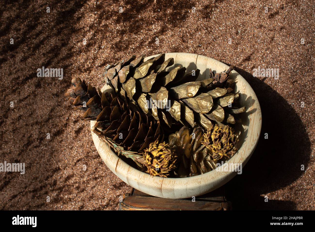Child collect pine cones hi-res stock photography and images - Alamy