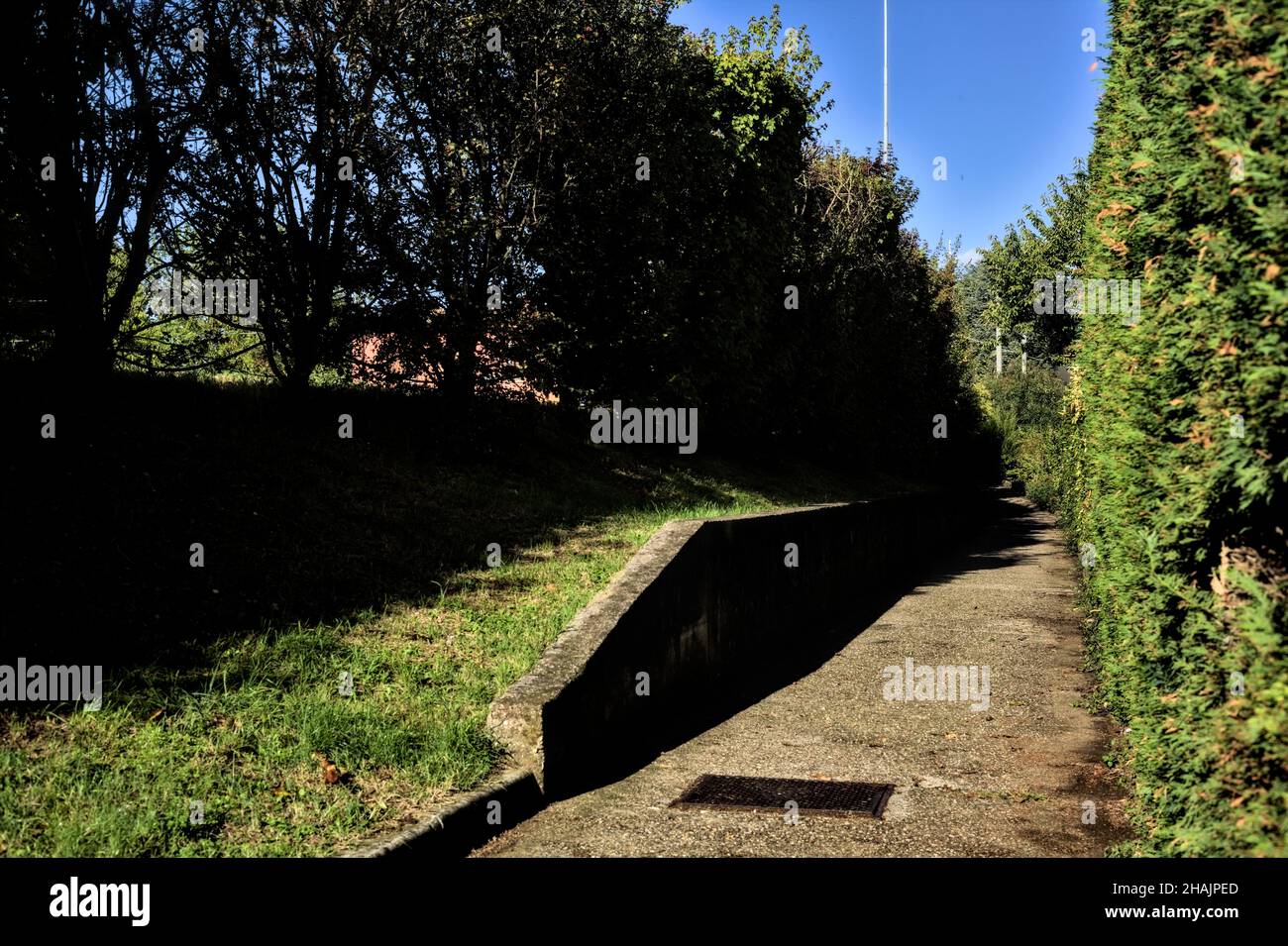 Passageway bordered by a hedge and a fence next to residential ...