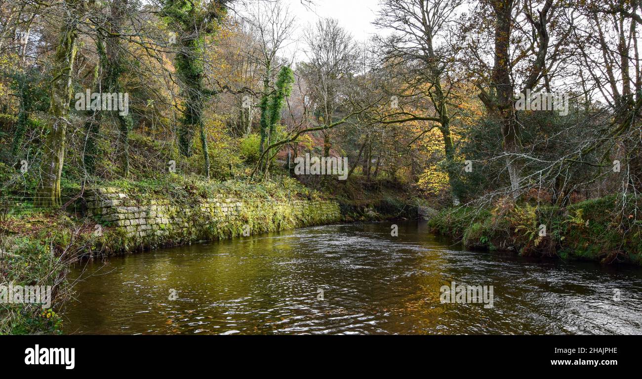 Restormel Castle/River Fowey 171121 Stock Photo - Alamy