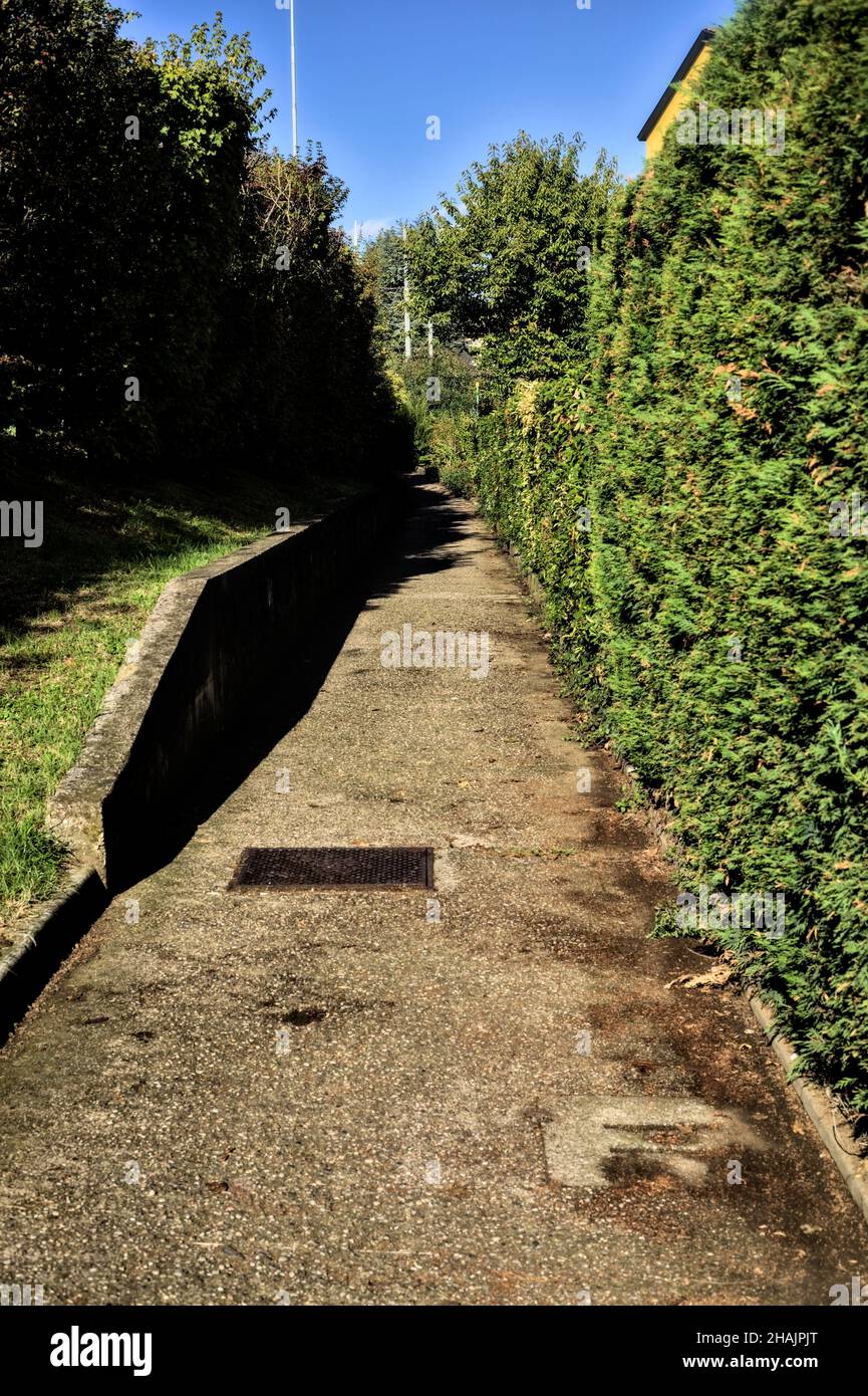 Housing Garden Garden Nature Park Structure And Landscape High ...