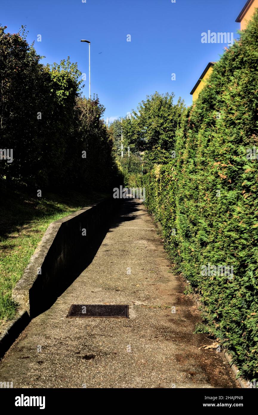 Passageway bordered by a hedge and a fence next to residential ...