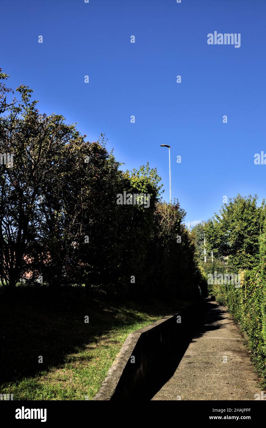 Passageway bordered by a hedge and a fence next to residential ...