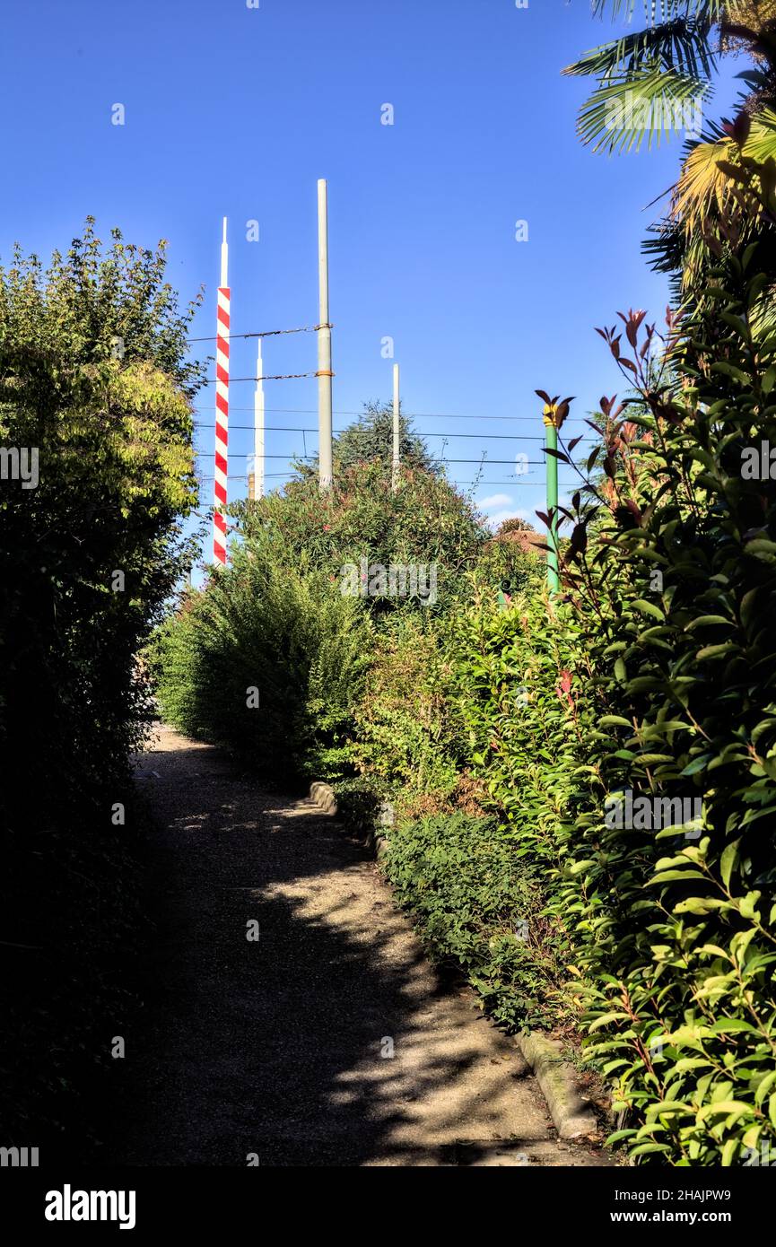 Hedge front modern suburb house hi-res stock photography and images - Alamy