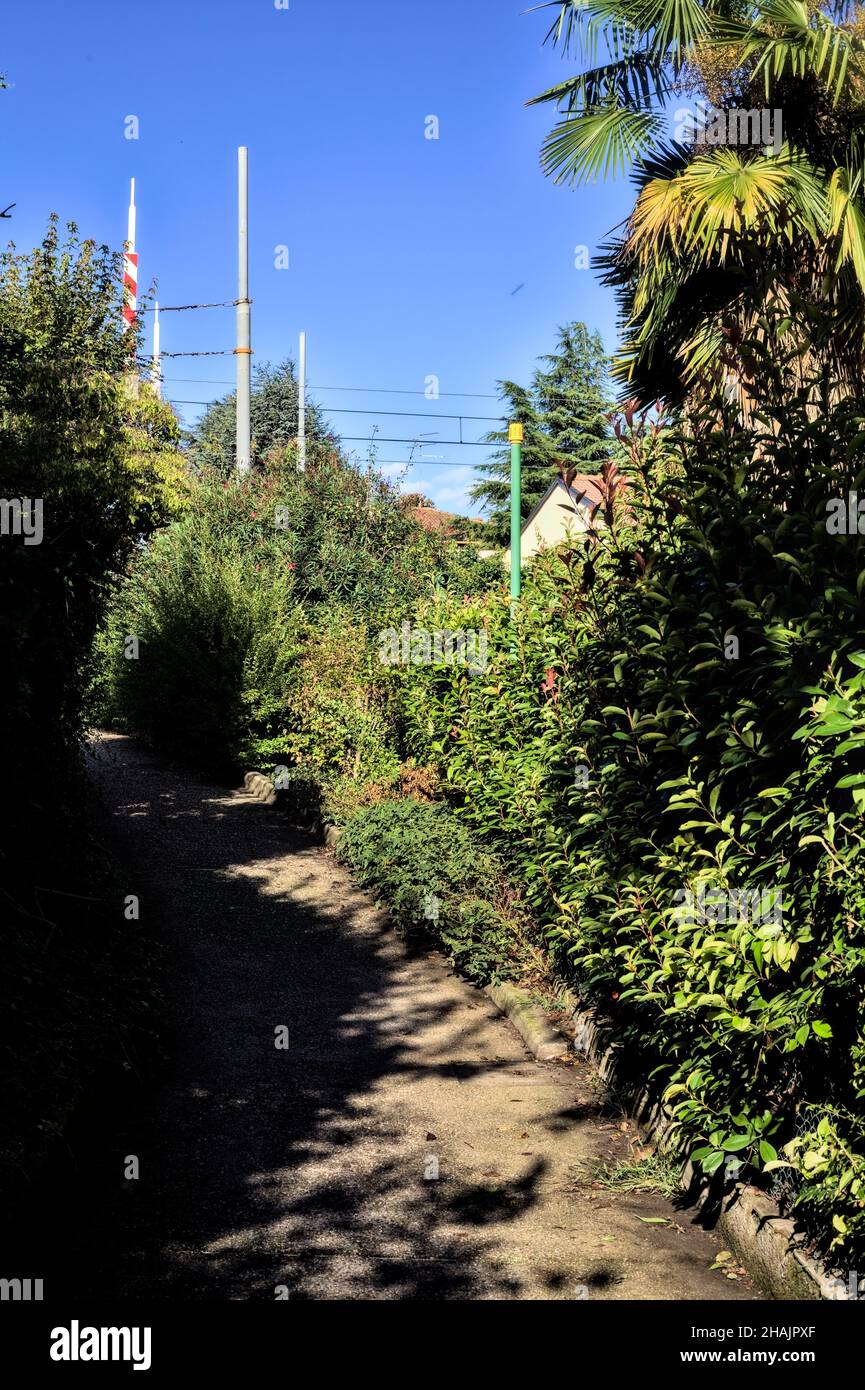 Hedge front modern suburb house hi-res stock photography and images - Alamy