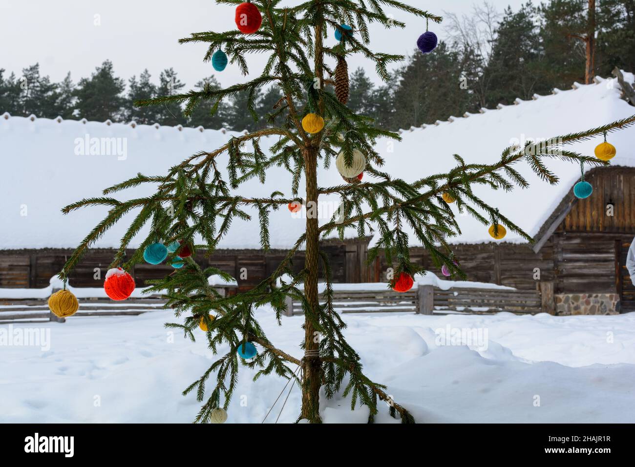 Wool covered tree hi-res stock photography and images - Alamy
