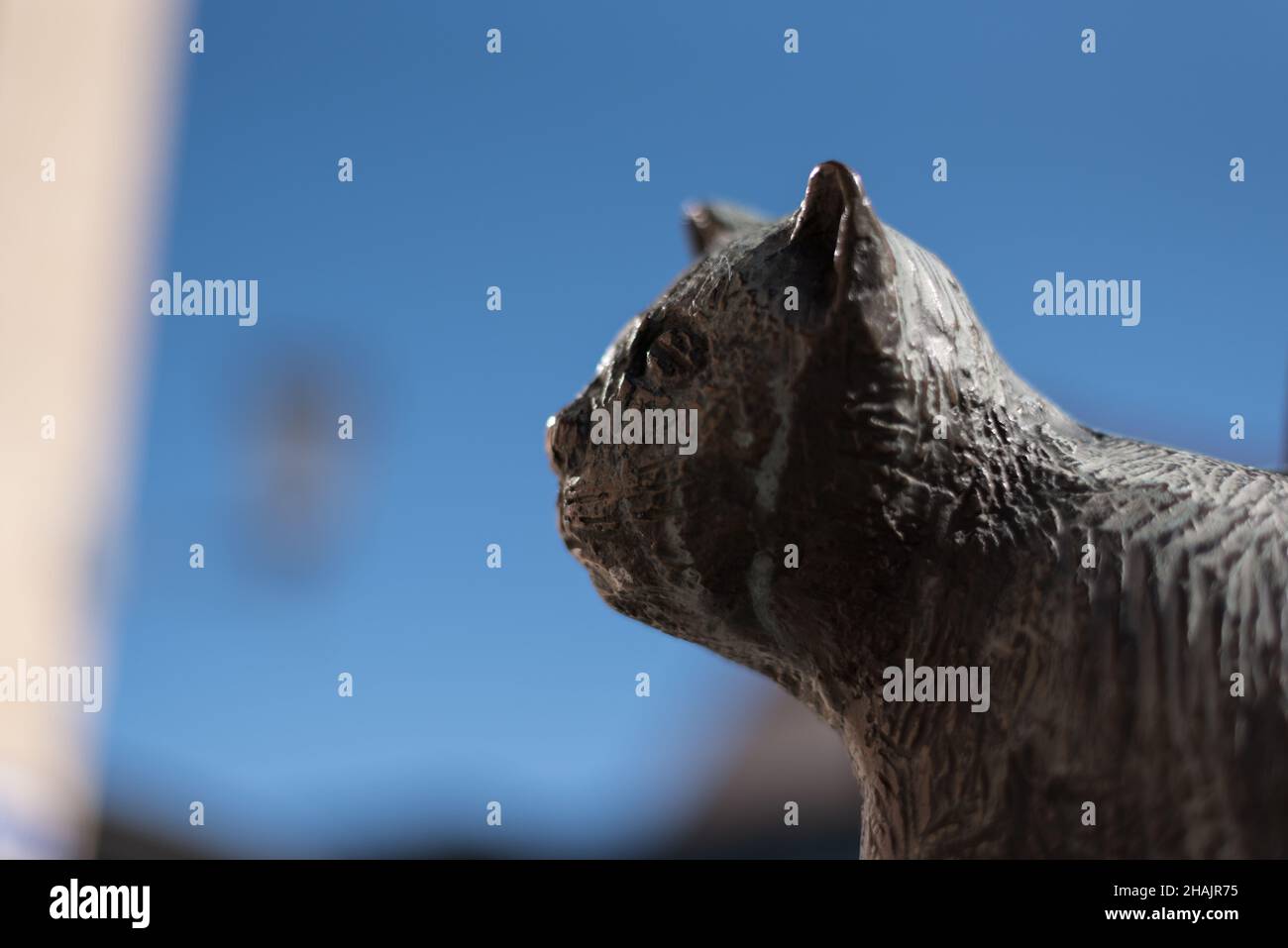 Statue of cat Murr at the statue of E.T.A. Hoffmann in Bamberg, Germany ...
