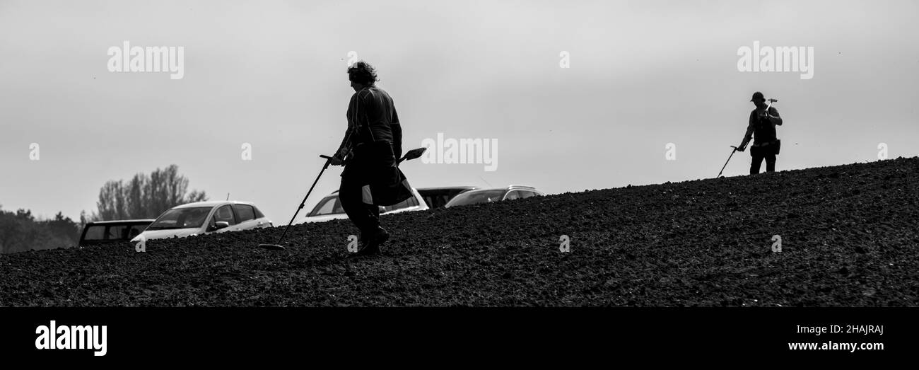 Detectorists field hi-res stock photography and images - Alamy