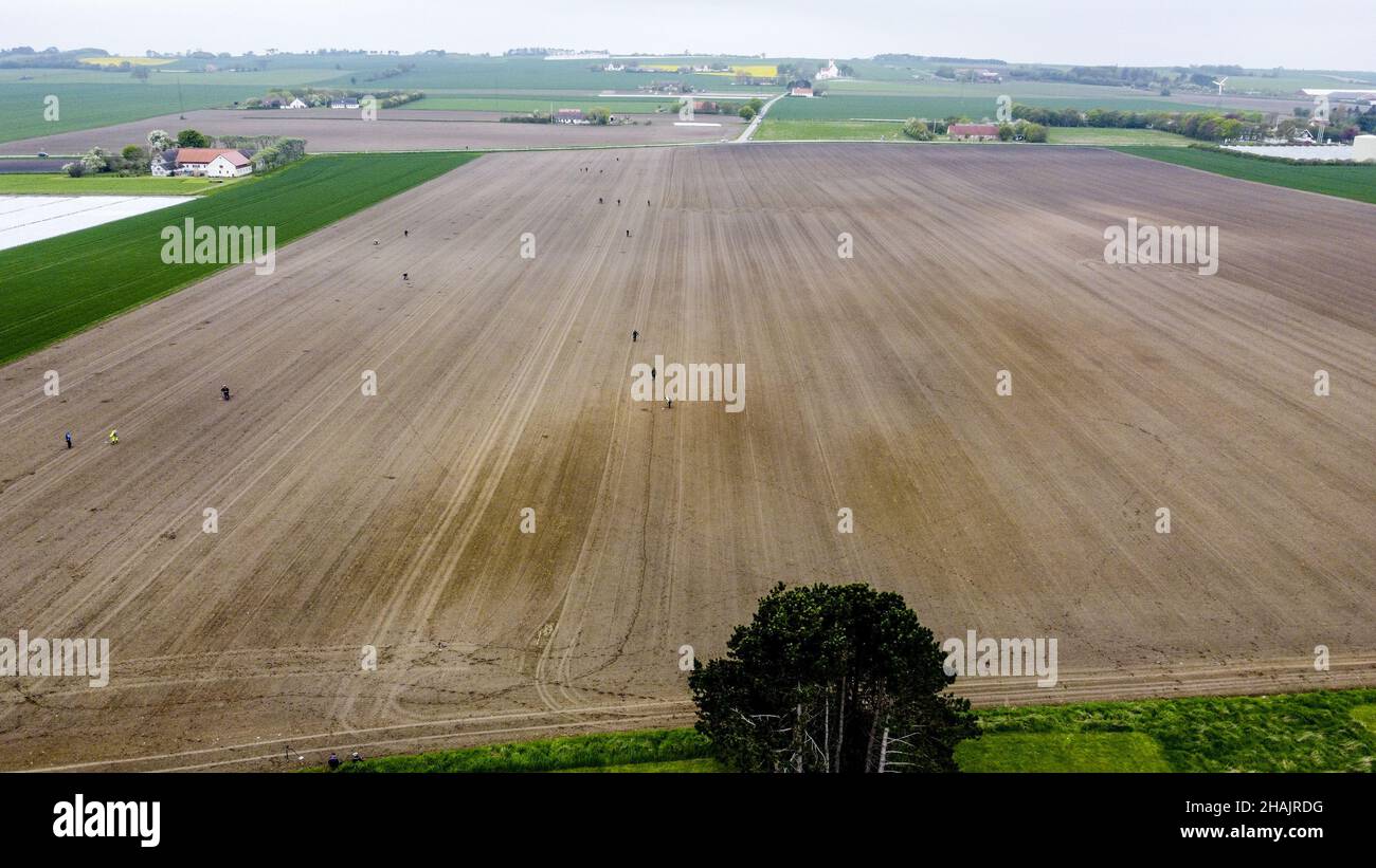 A field of detectorists seen from above Stock Photo - Alamy
