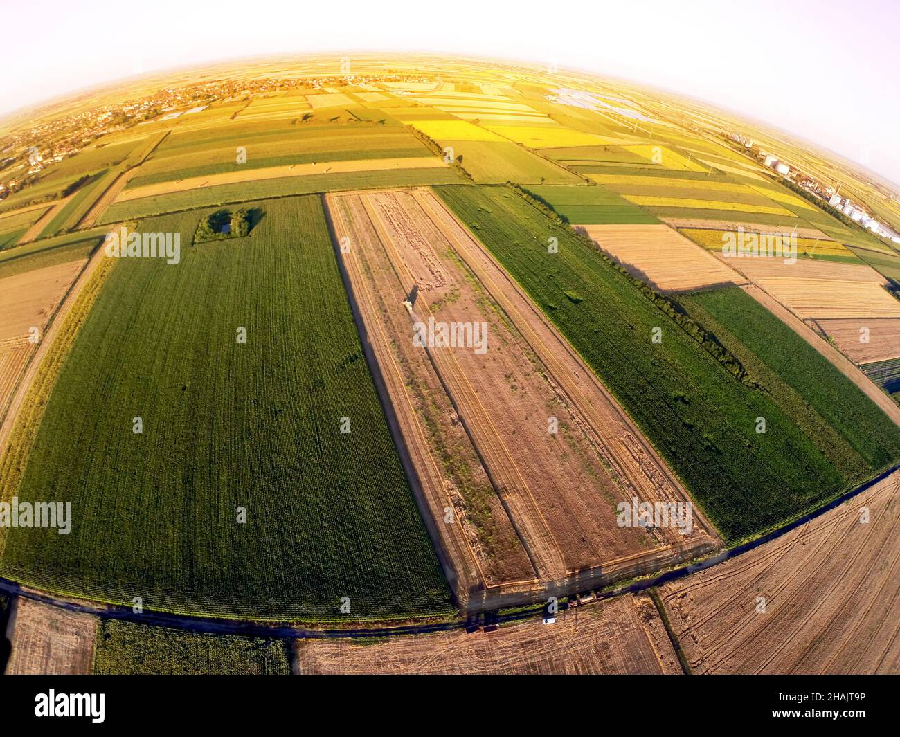 Aerial view of green wheat field Stock Photo - Alamy