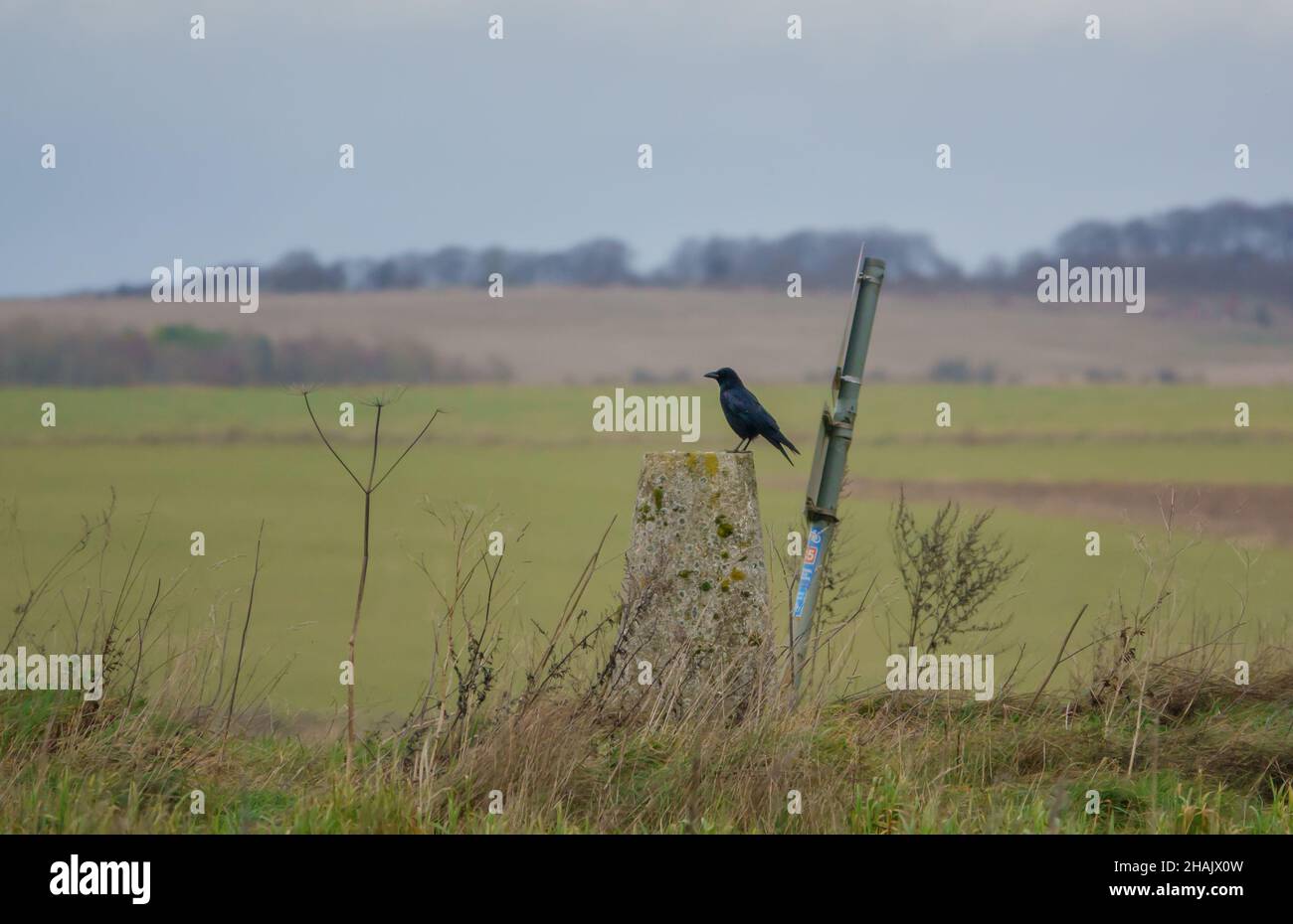Concrete marker post hi-res stock photography and images - Alamy