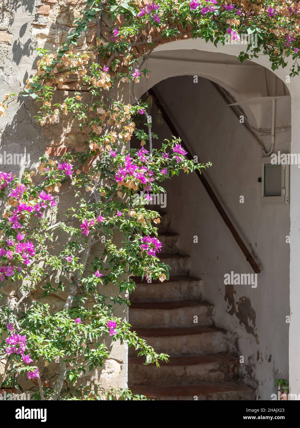 Detail of a Narrow Access with Stairs of an Ancient House in the ...
