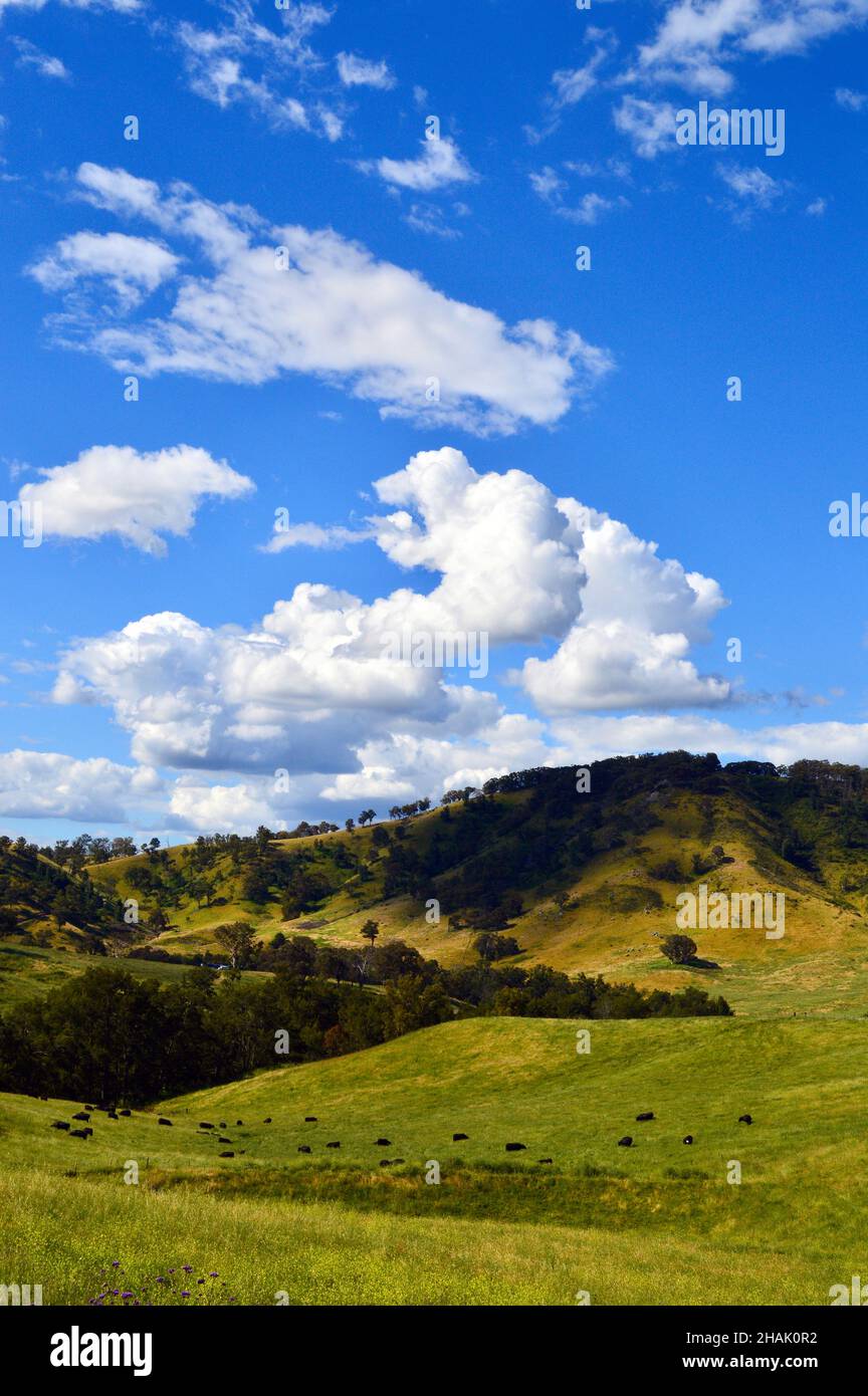 A rolling hillside with white clouds Stock Photo - Alamy