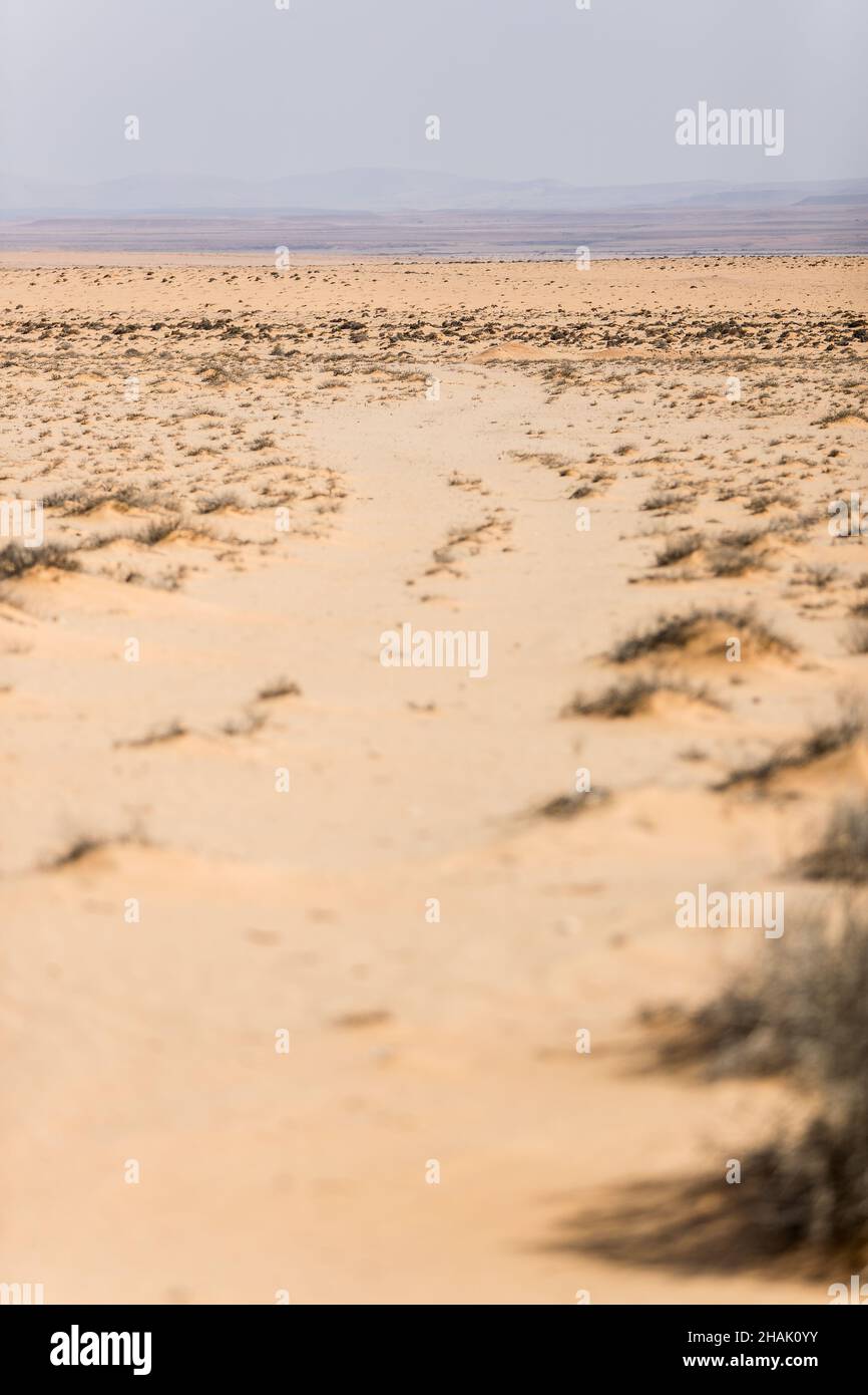 Vertical shot of the sand dunes at the beach Stock Photo - Alamy