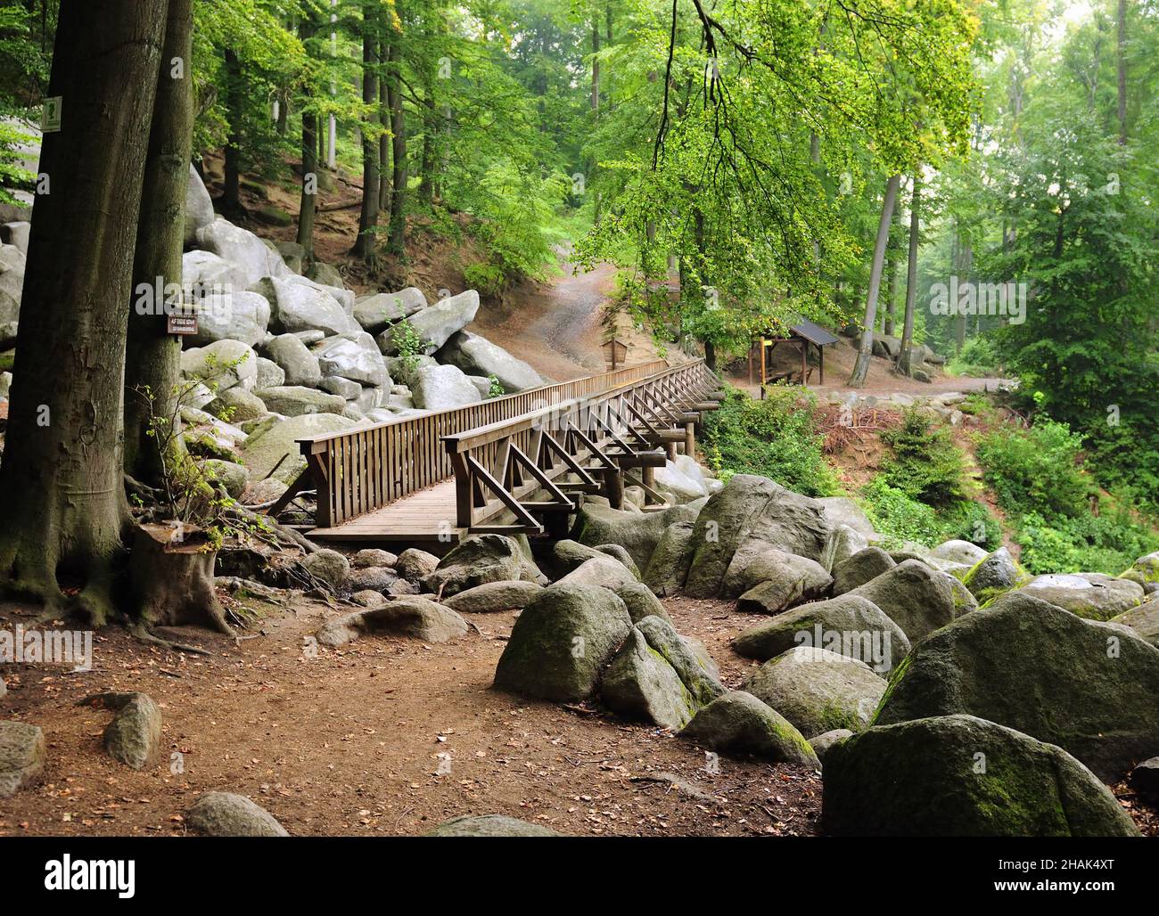 Wooden Footbridge Within Boulder Rocks At Felsenmeer In A Forest In ...