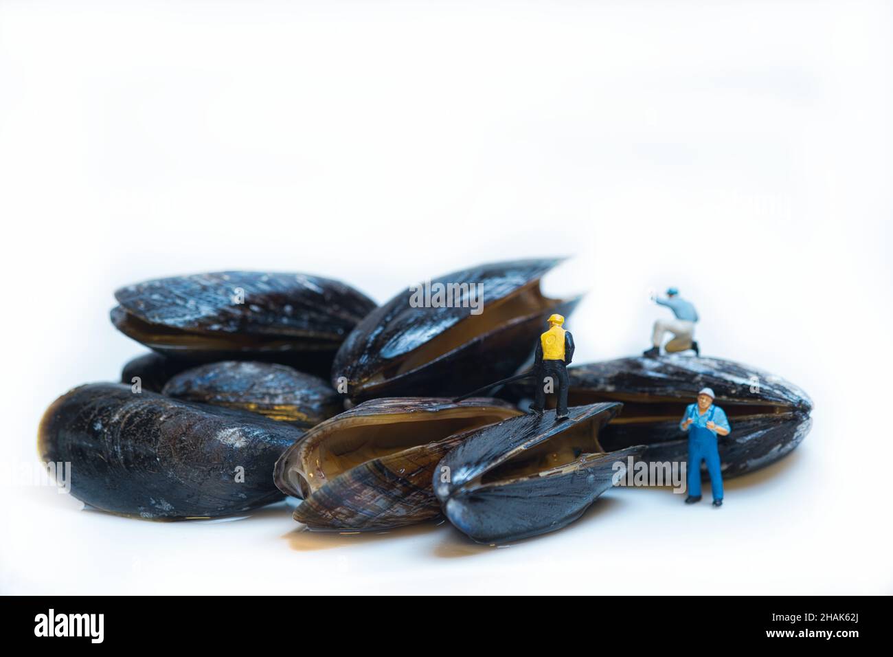 miniature worker opening a mussel Stock Photo - Alamy