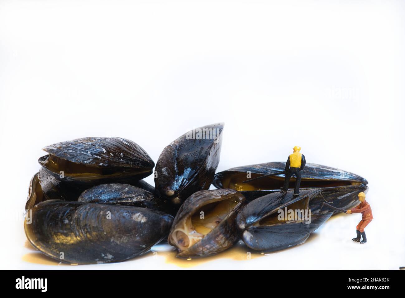 miniature worker opening a mussel Stock Photo - Alamy