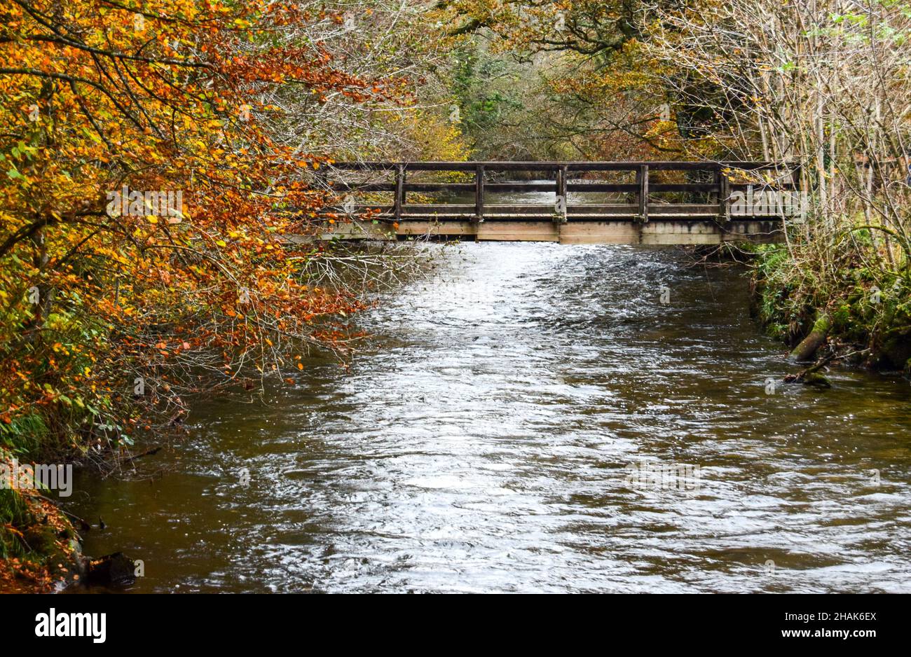 Restormel castle oak hi-res stock photography and images - Alamy