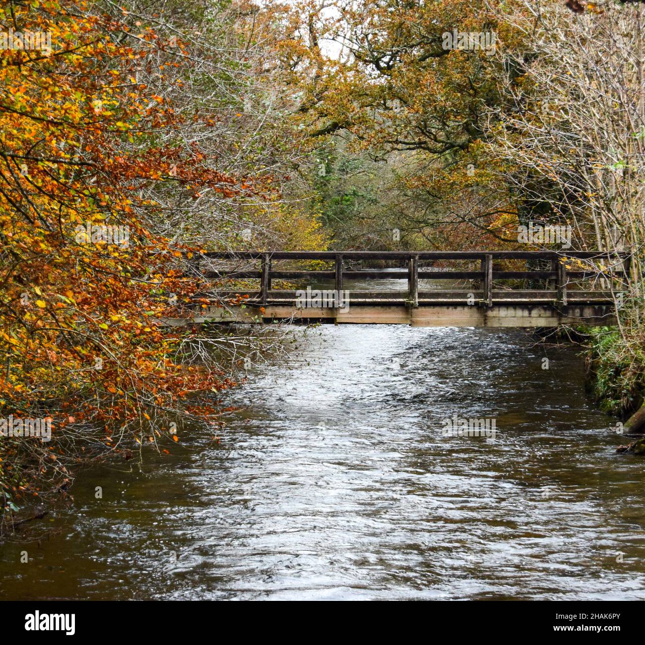 Restormel castle oak hi-res stock photography and images - Alamy