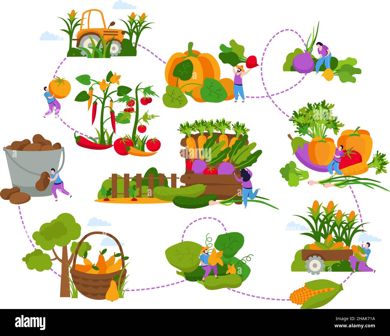 Harvesting flat composition with flowchart of isolated images with ...