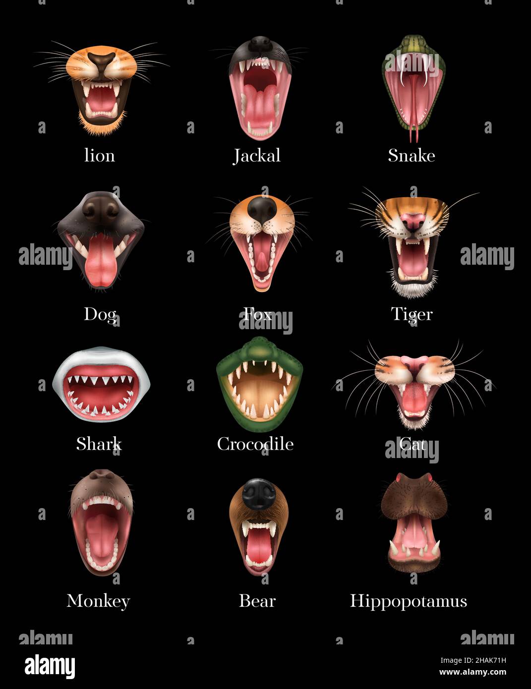 Open animal mouth realistic set with lion dog shark monkery bear fox ...