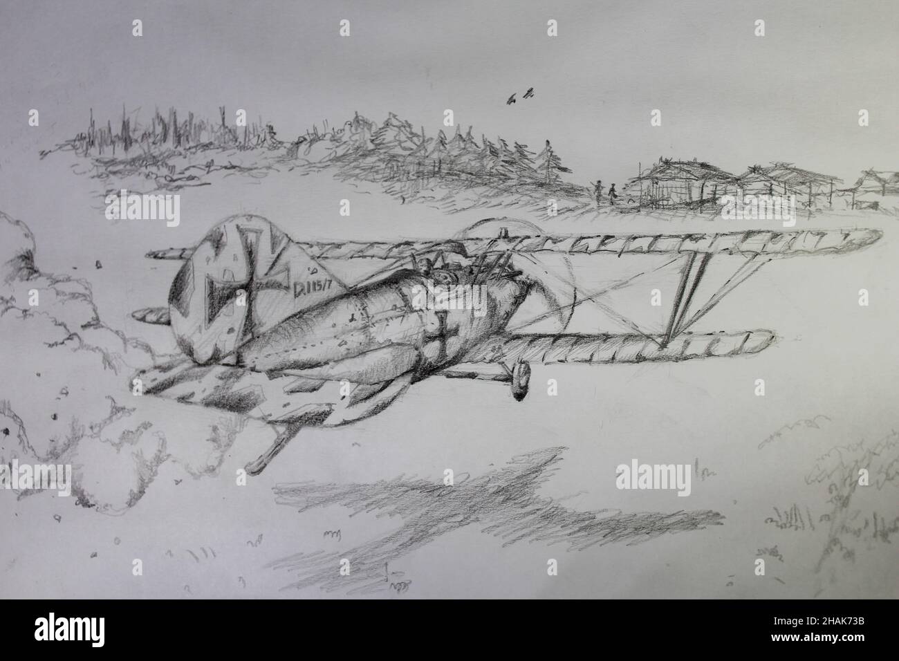 Biplane landing on the grass Stock Photo - Alamy