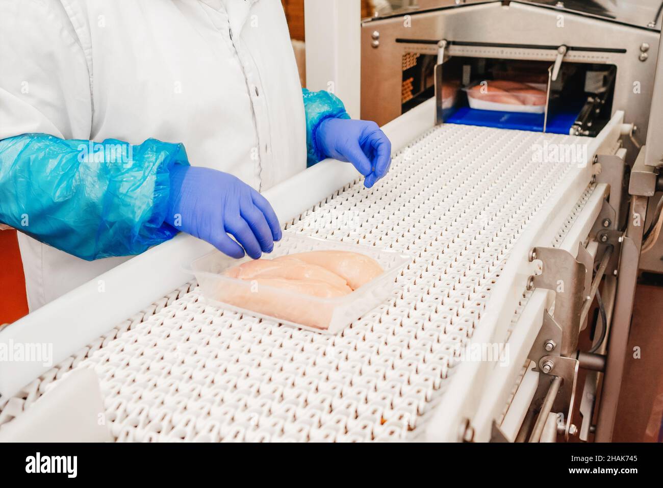 Modern poultry processing plant.Factory for the production of food from ...