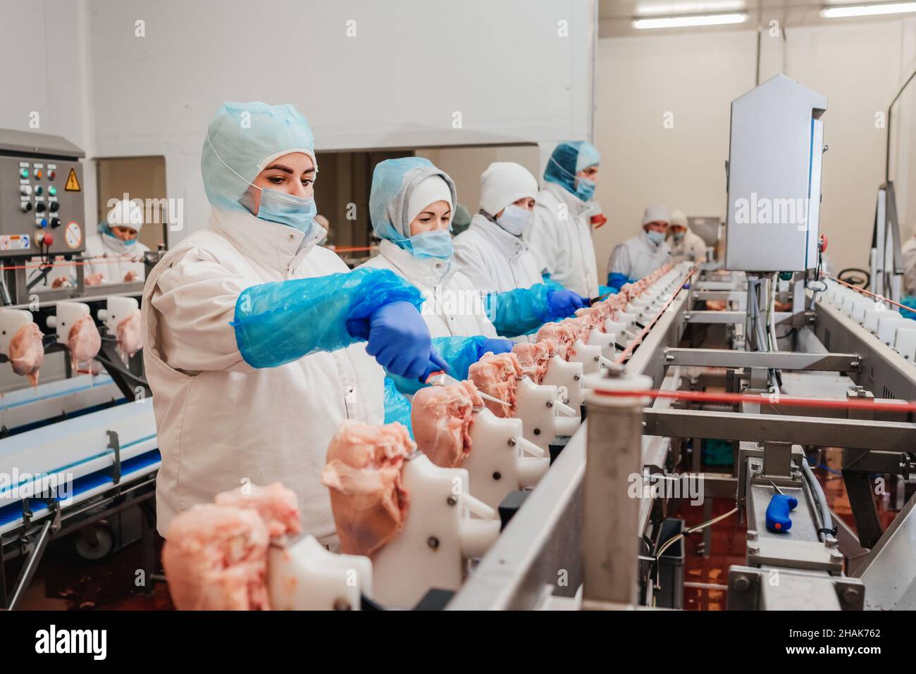 Modern Food Assembly Line