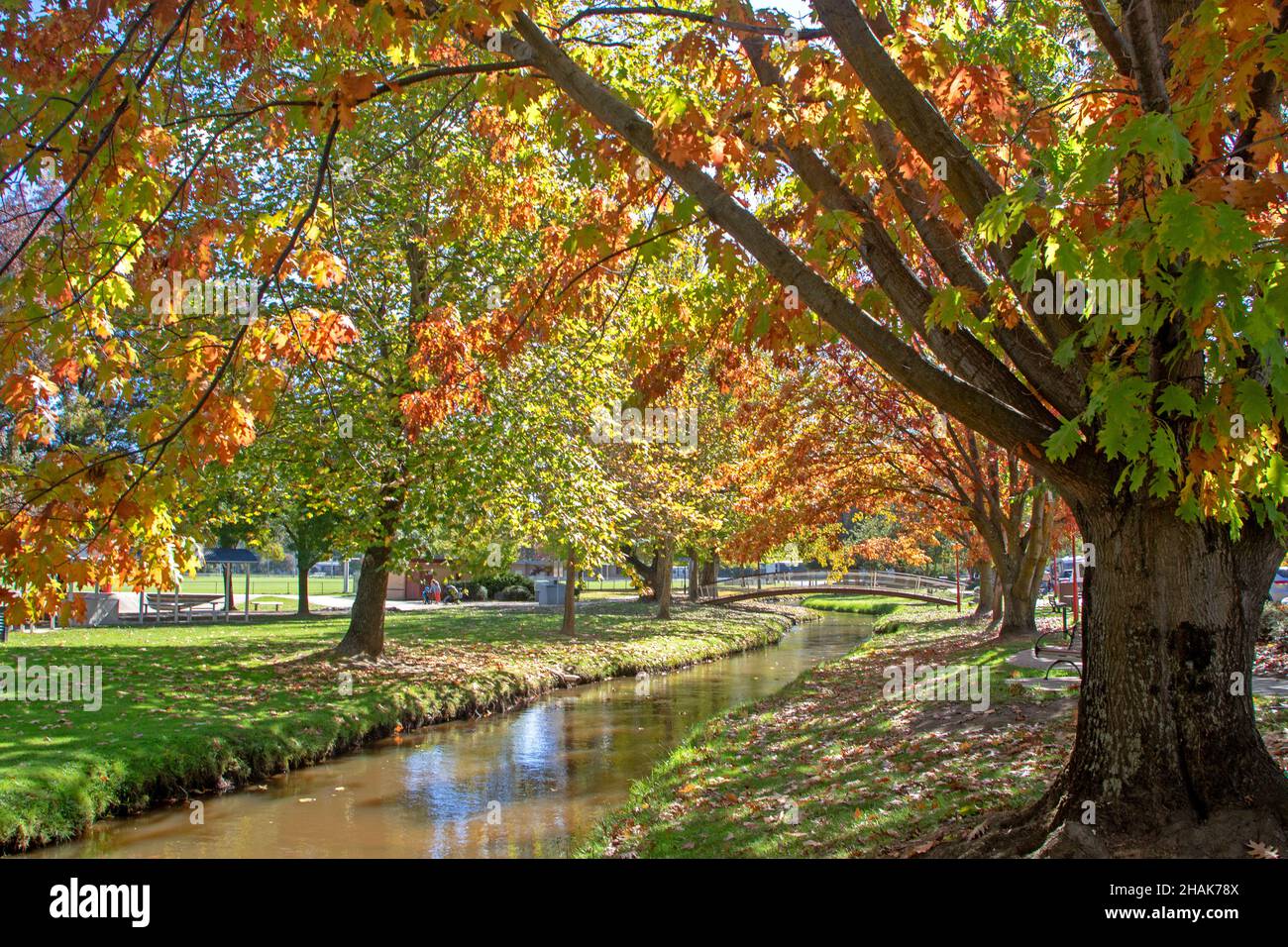Autumn scene on the Tumbarumba River in Tumbarumba Stock Photo - Alamy