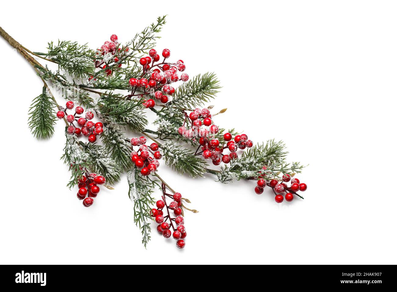 Christmas card red rowan Cut Out Stock Images & Pictures - Alamy