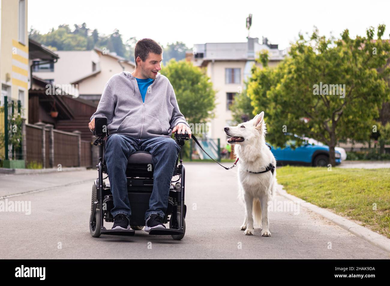 Man with disability and his service dog, a beautiful White Swiss ...