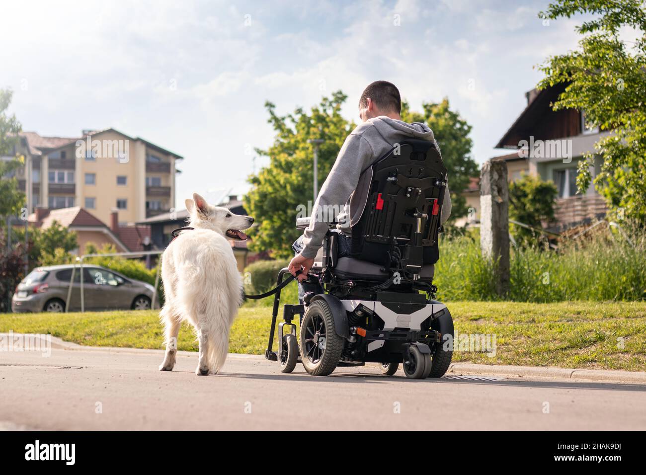 Man with disability and his service dog, a beautiful White Swiss ...