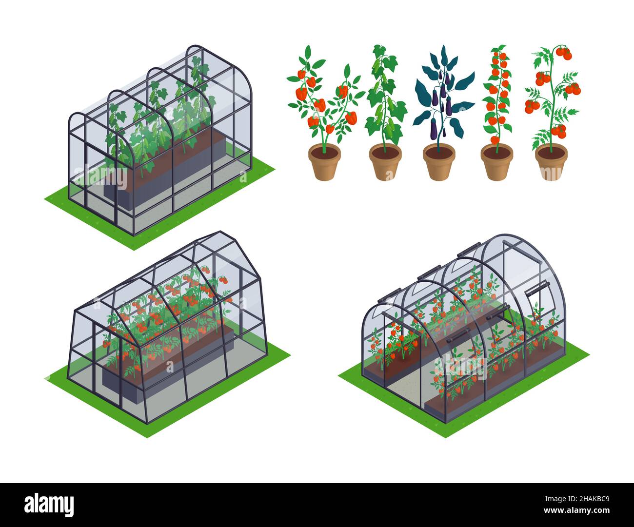 Greenhouses greenhouse Stock Vector Images - Alamy