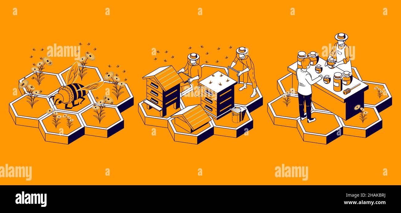Beekeeping isometric infographics with three isolated images of ...