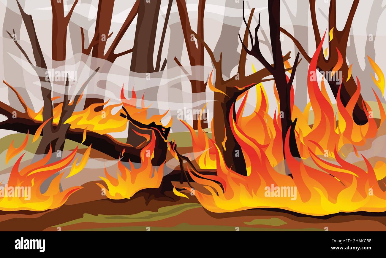 Forest fire flame composition destructive fire that destroys trees and ...