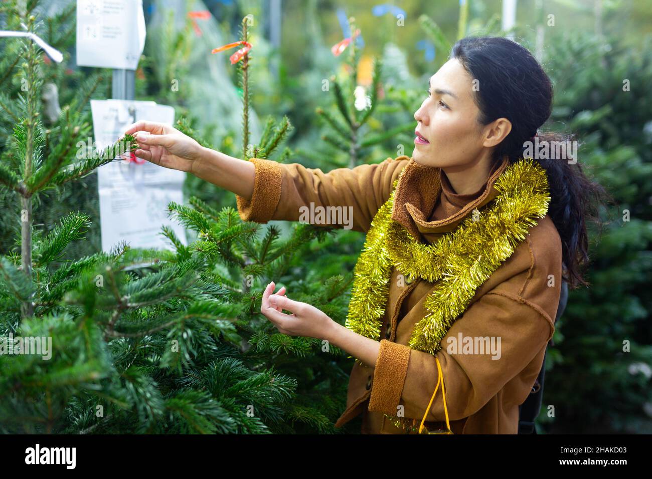 Portrait of positive asian woman choosing christmas tree at Xmas street ...