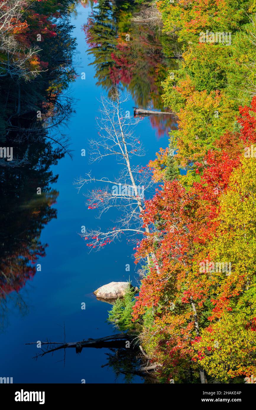 Upper peninsula michigan woods hi-res stock photography and images - Alamy