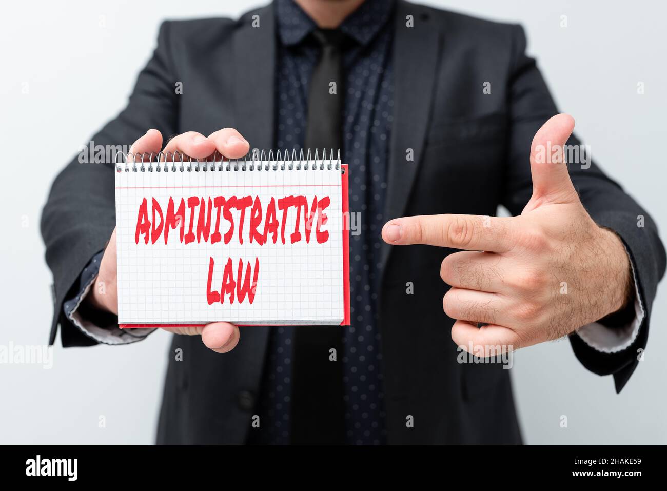 Conceptual display Administrative Law. Business overview Body of Rules ...