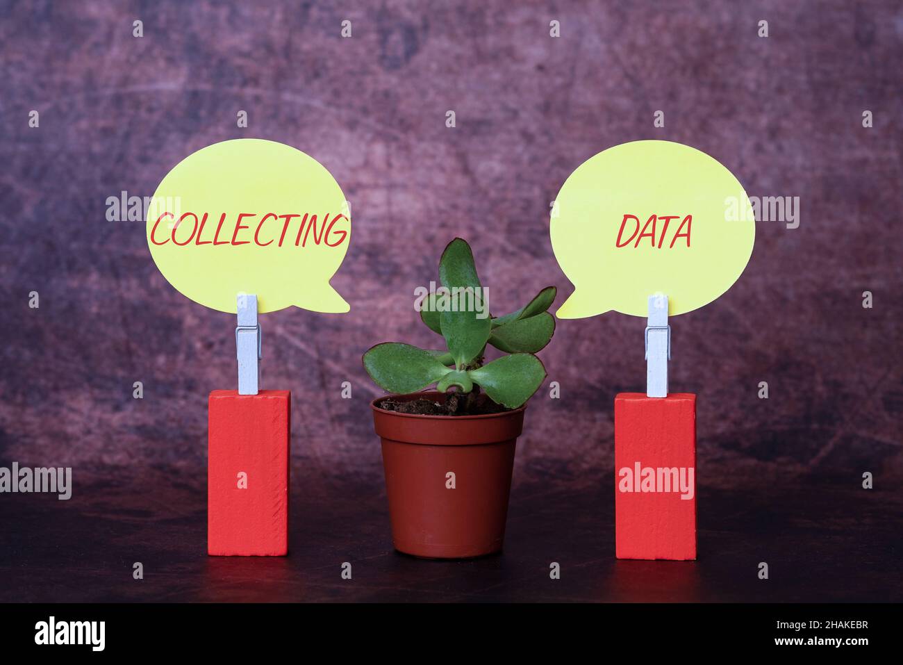 Text sign showing Collecting Data. Business approach Gathering and ...