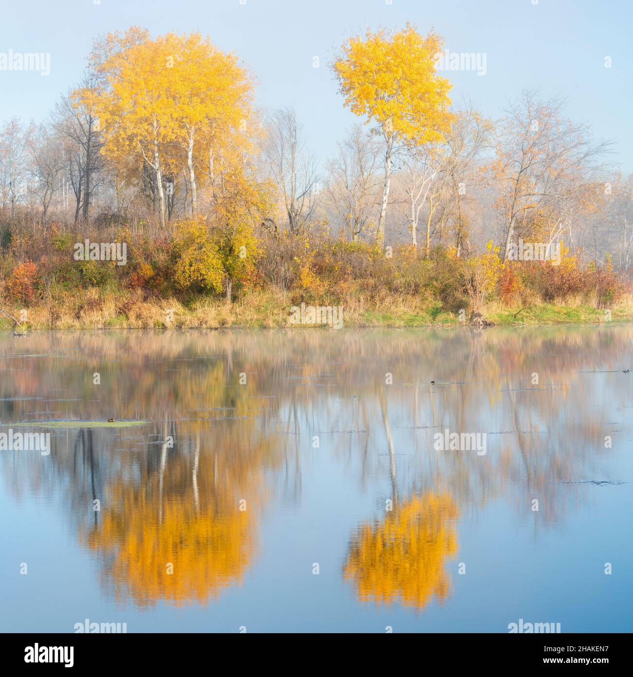 Early morning fog over Empire Lake, Autumn, Minnesota, USA, by ...