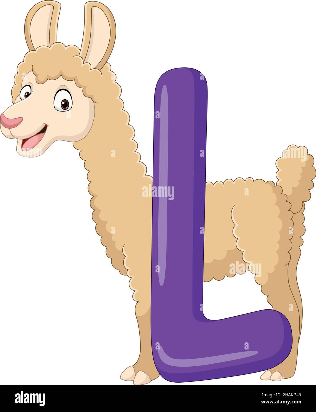Alphabet letter L for Llama Stock Vector Image & Art - Alamy