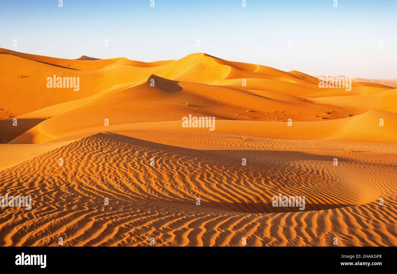 A dune landscape in the Rub al Khali or Empty Quarter. Straddling Oman ...