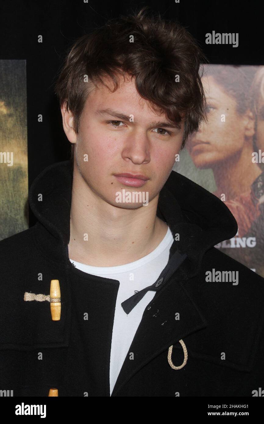 Ansel Elgort attends the premiere of Focus Features' "The Place Beyond ...