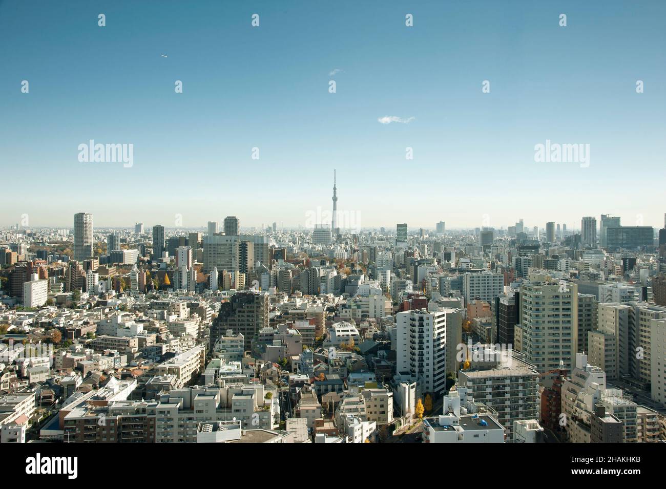 A panoramic view of Tokyo including the Tokyo Skytree observation tower ...