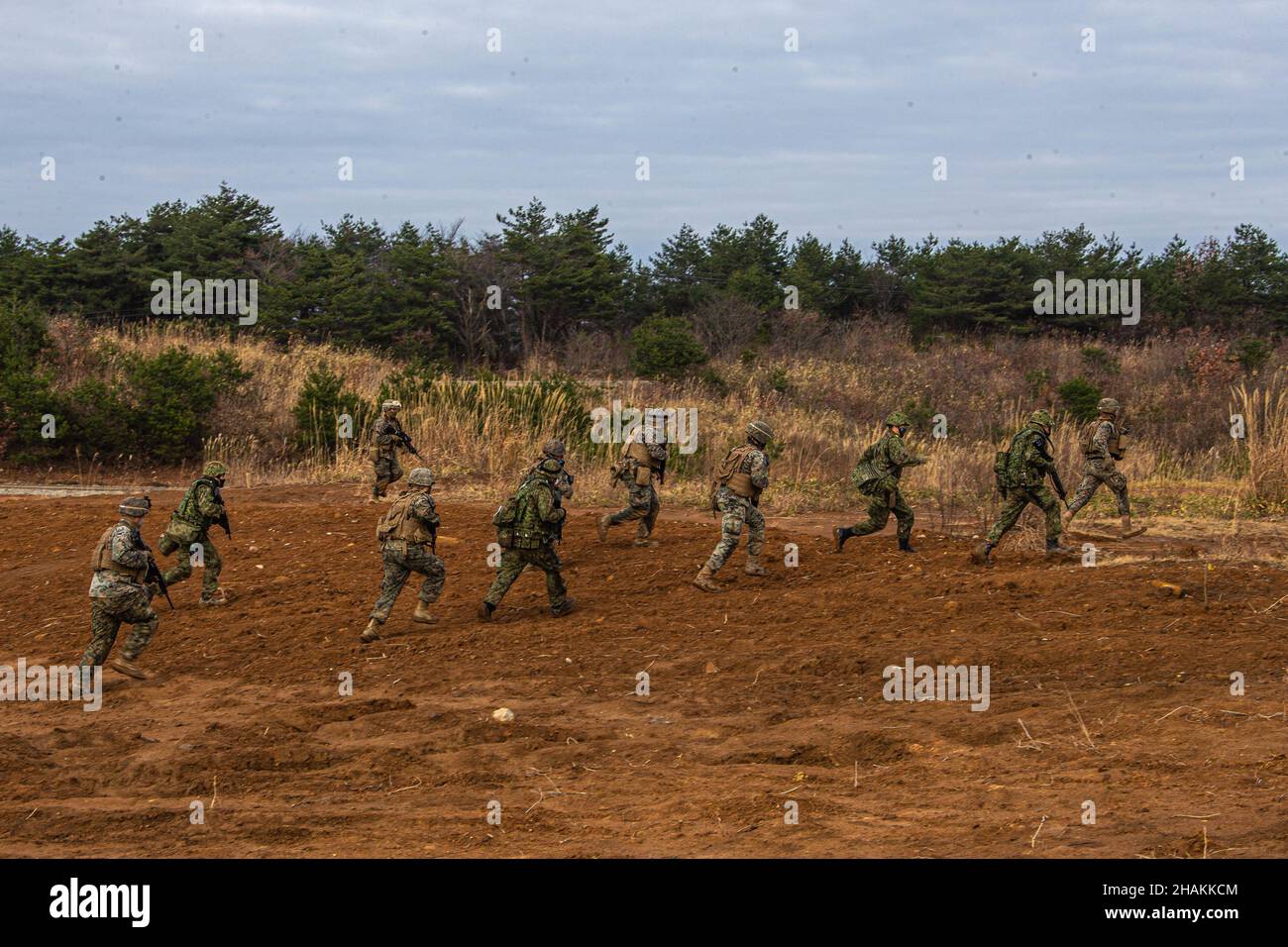 U.S. Marines with Combat Logistics Battalion 4, in support of 3d Marine ...