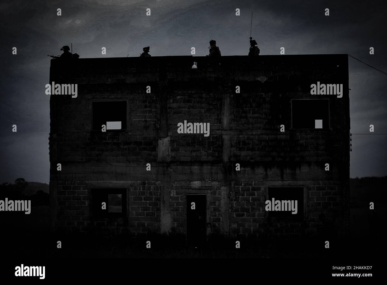 Soldiers assigned to Bulldog Company, 1st Battalion, 187th Infantry ...