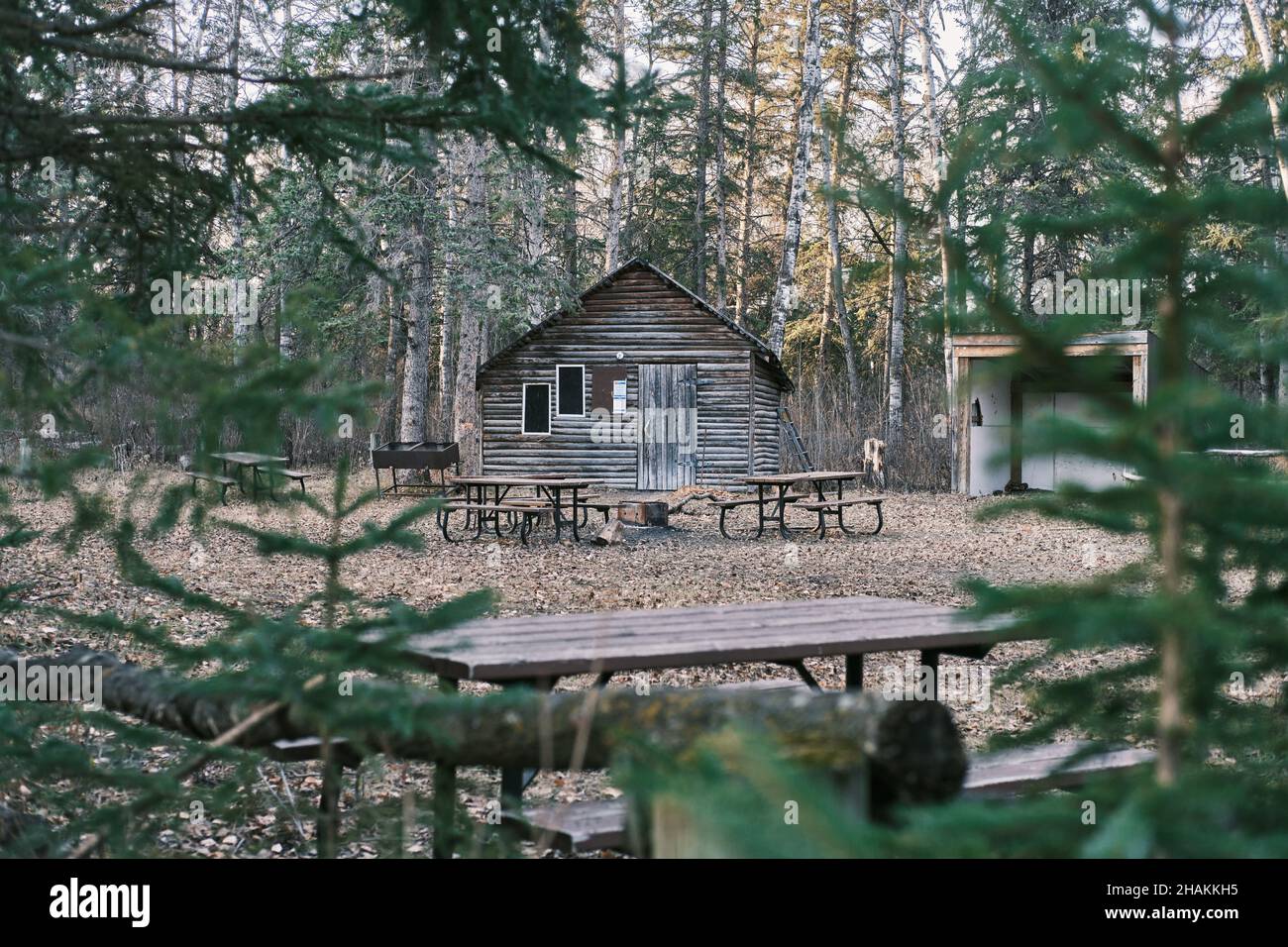 Wooden hut in the forest during the daytime Stock Photo - Alamy